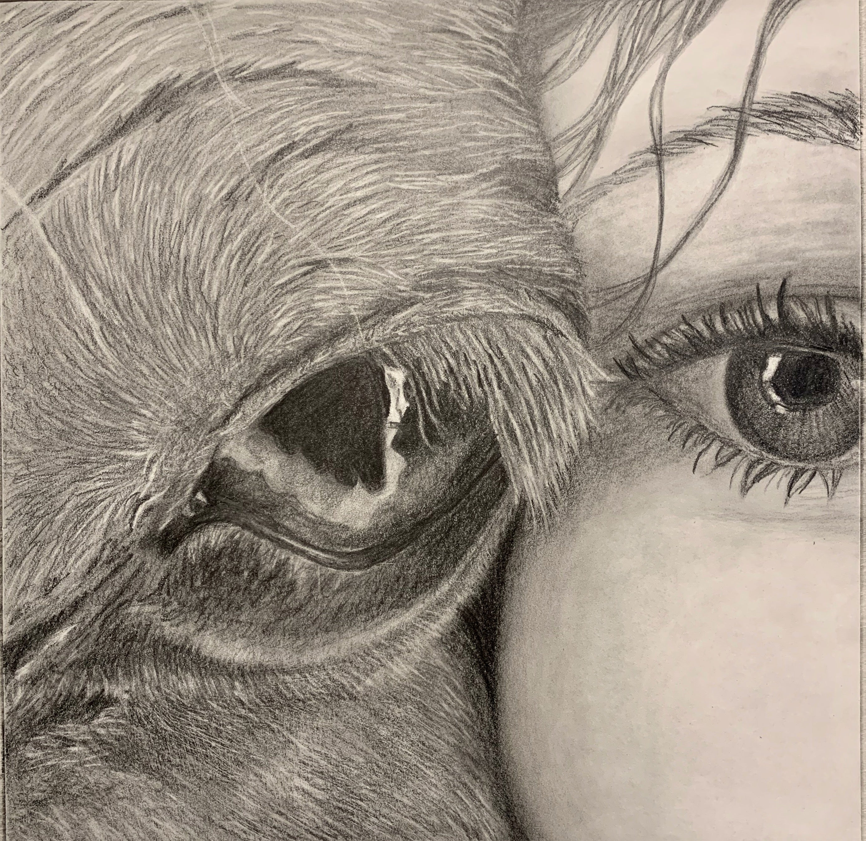 Early Work: Drawings – Rhiannon Englert Fine Art